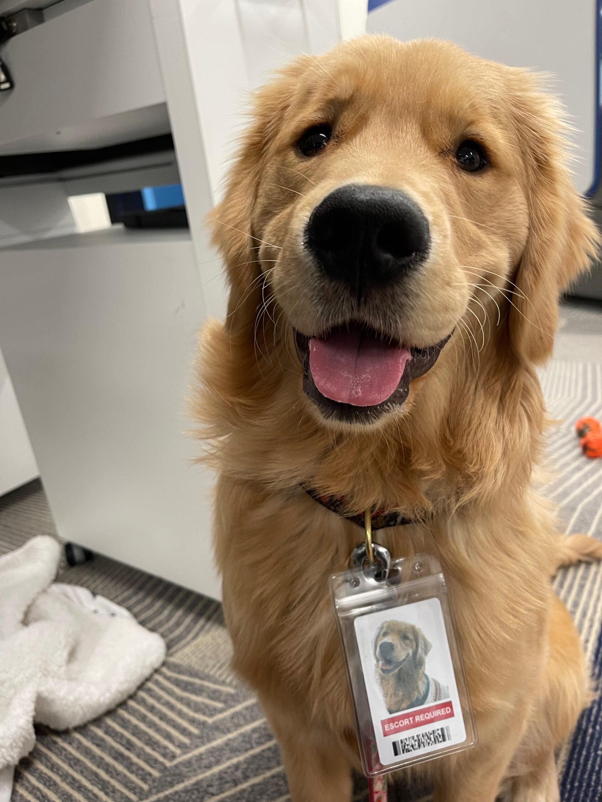 Careers - GET Group North America